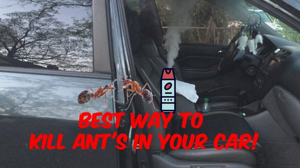 6 Common Ways To Get Rid of Ants in Car! – Mechanic Times
